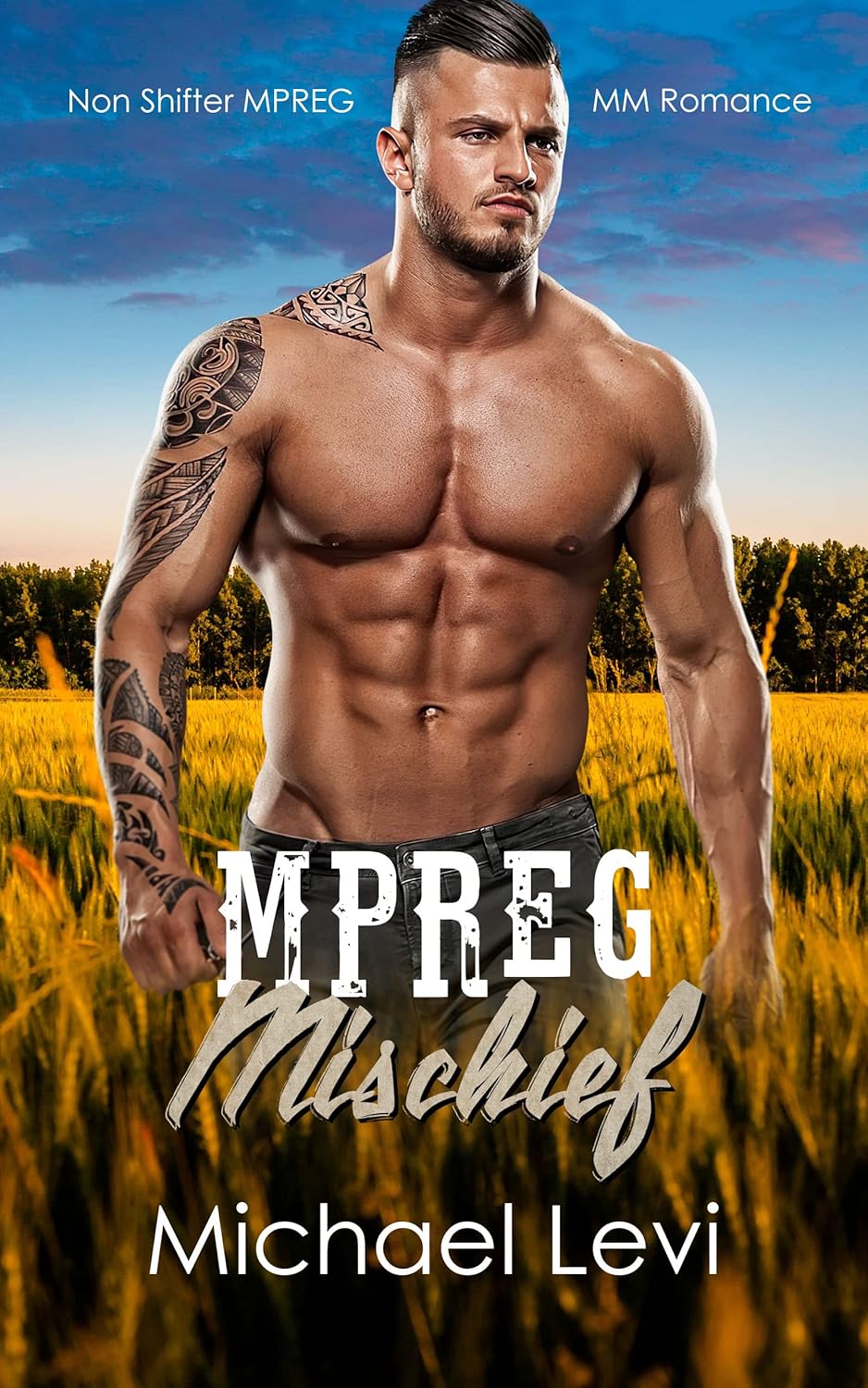 Mpreg Mischief: Non Shifter MPREG MM Romance (Pregnant Broncos Book 2) eBook : Levi, Michael ...