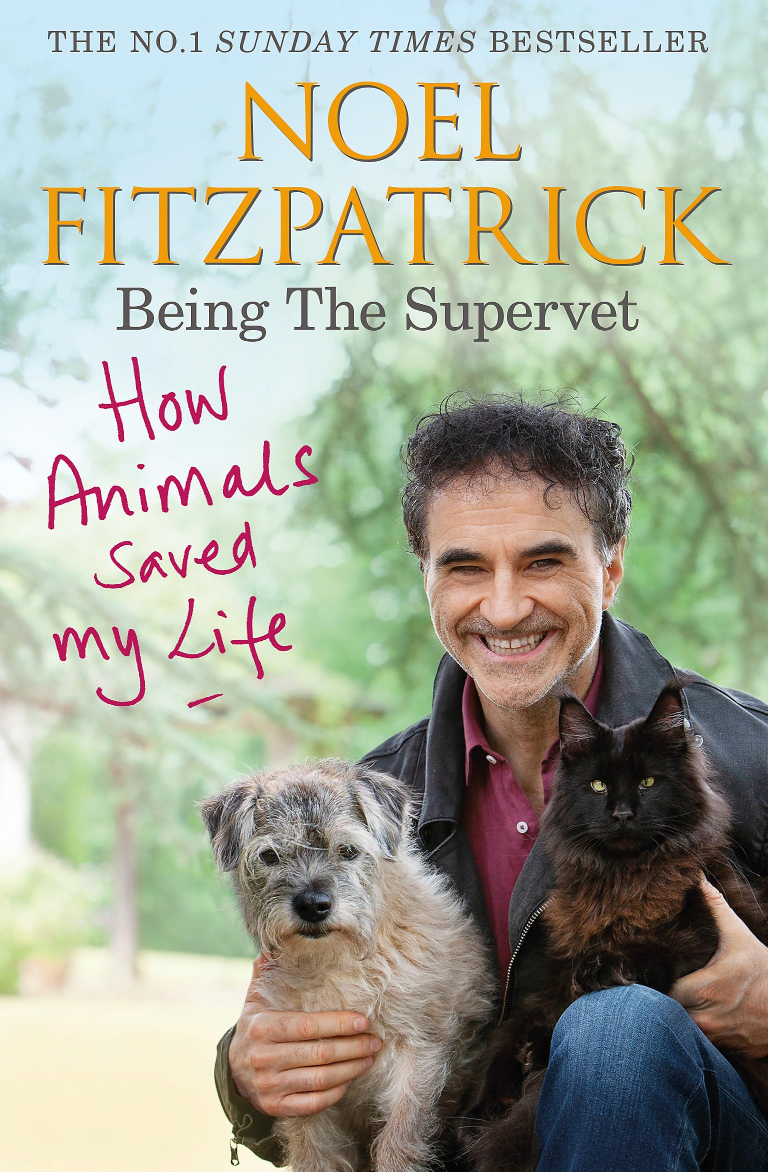 How Animals Saved My Life: Being the Supervet: The perfect gift for ...
