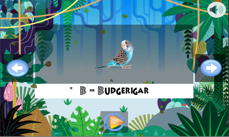 all about birds - app for toddlers - App on Amazon Appstore