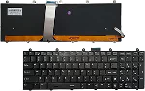 Amazon.com: Laptop Replacement Keyboard Compatible for MSI GE60 GT60 ...