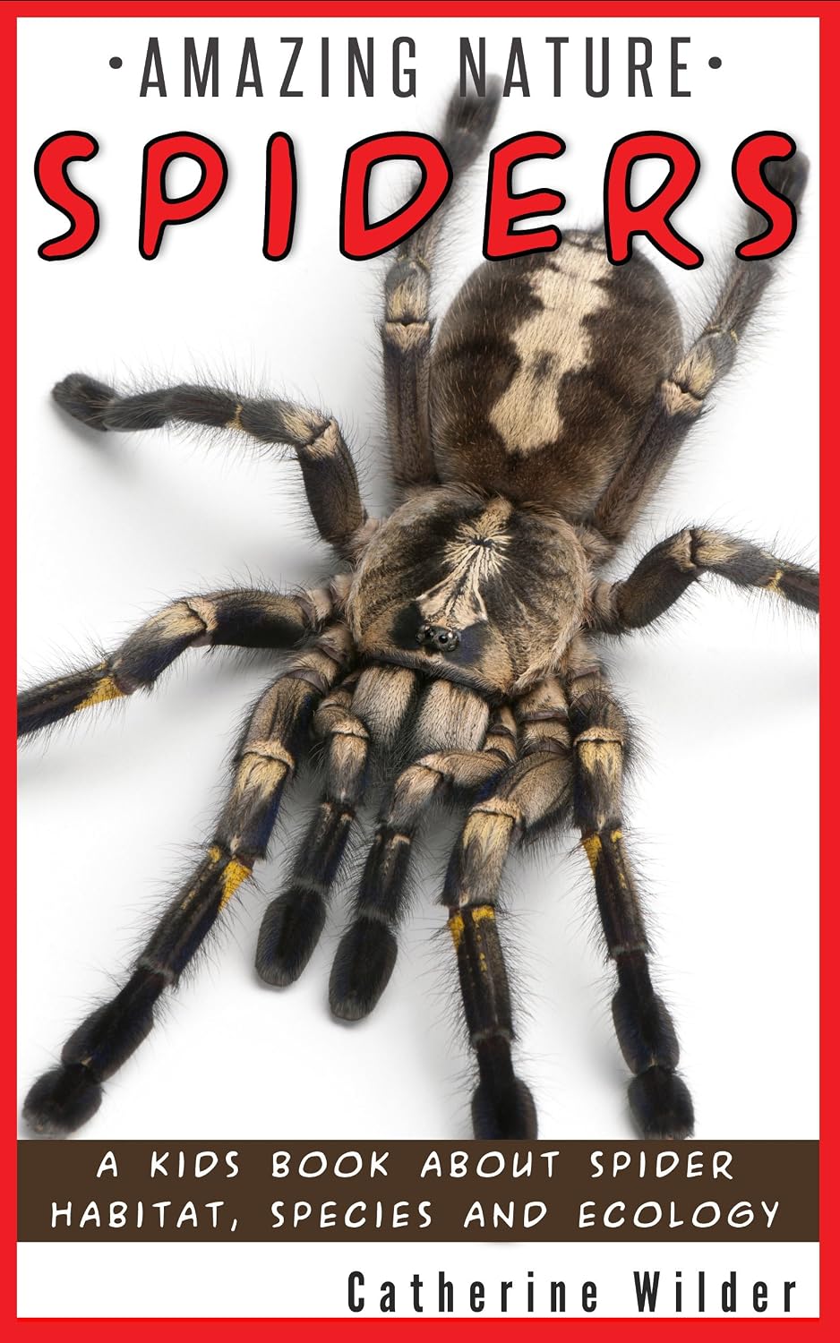 Kids Book About Spiders: Fun Spider Facts, Colorful Pictures And ...