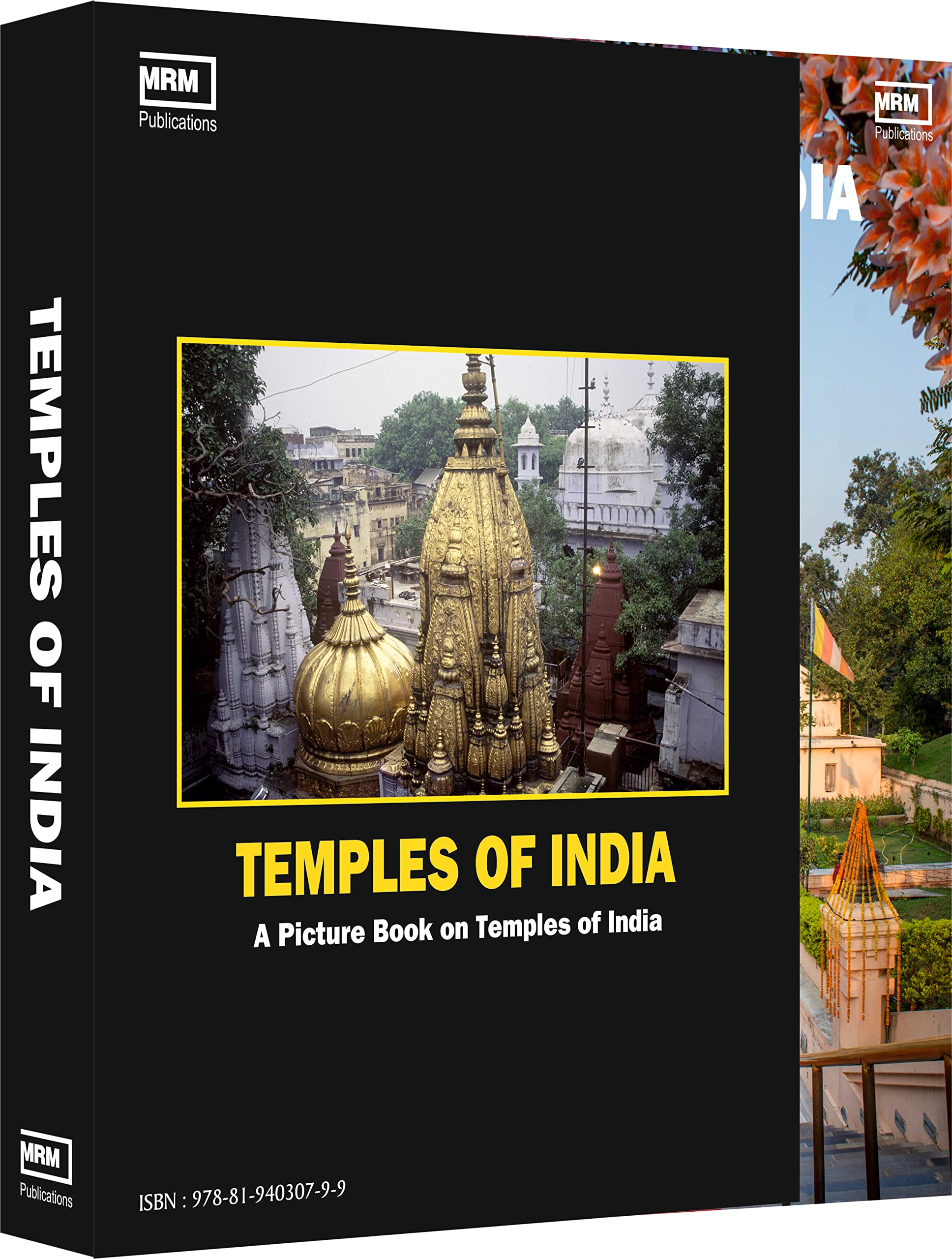 Temples of India - A Picture Book on Temples of India : MRM ...