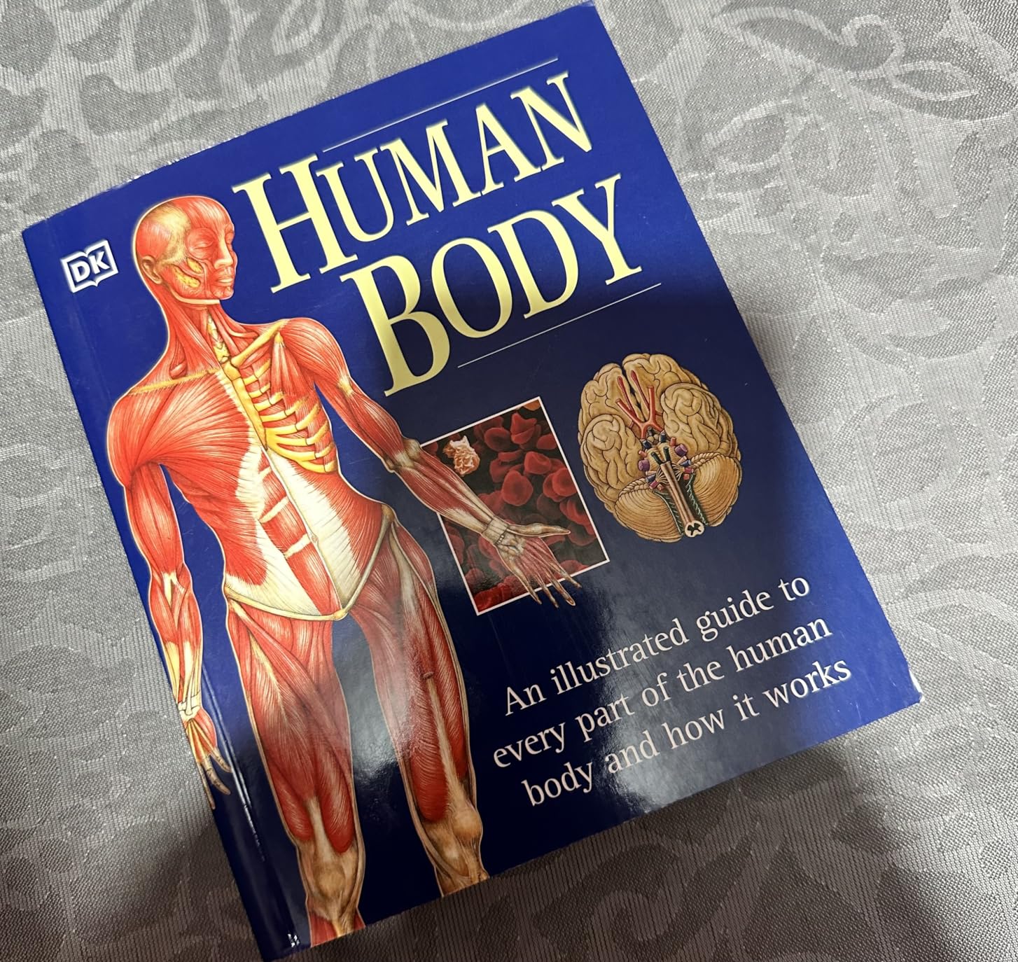 Human Body: An Illustrated Guide to Every Part of the Human Body and ...