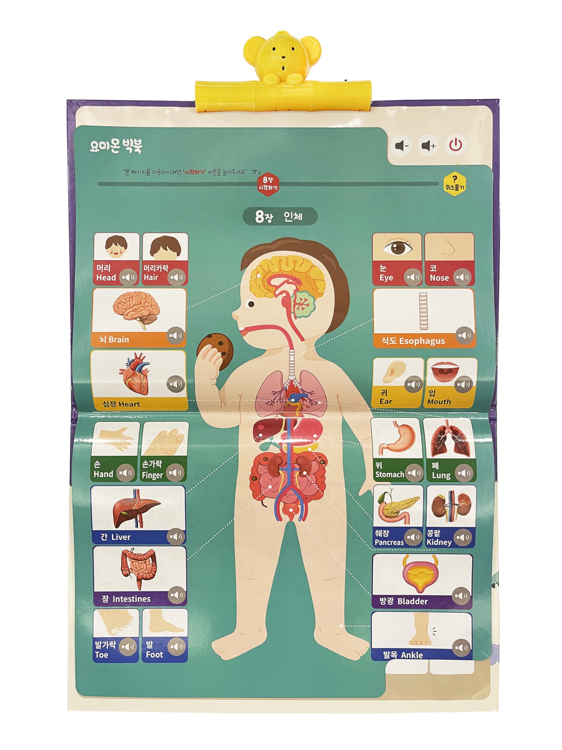 Snapklik.com : Korean Language Learning Book, Learn Korean Words ...