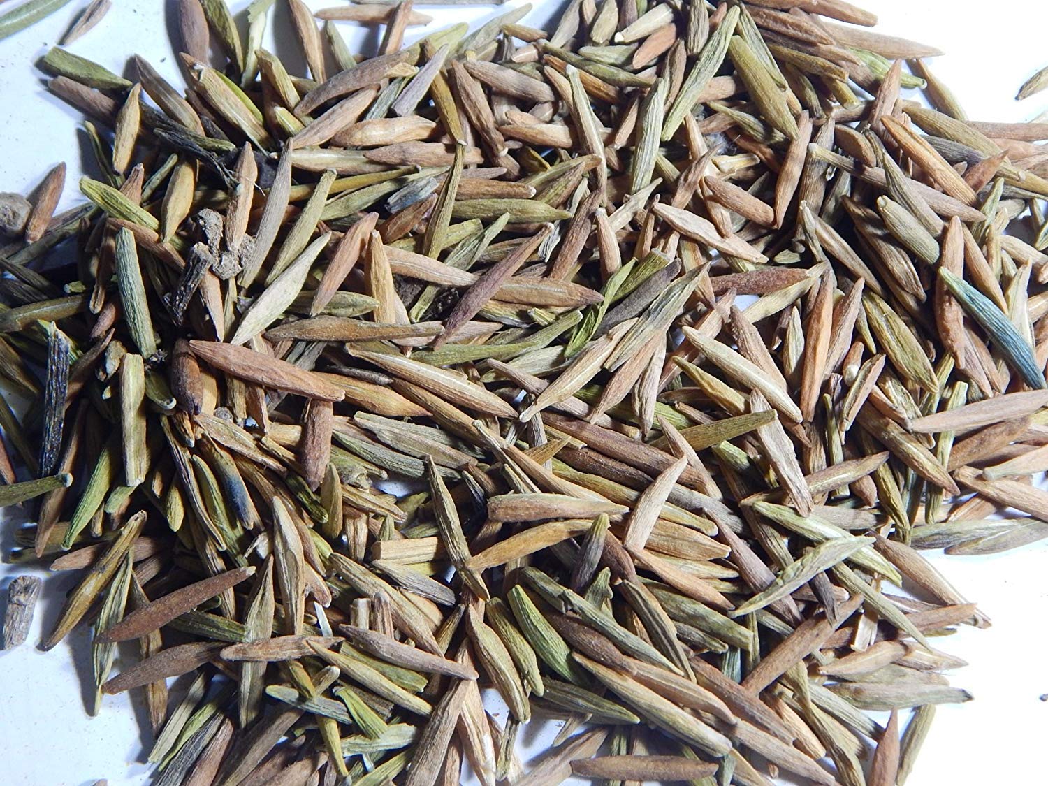 Buy Xetomos Natural indrajao Inderjaw Wrightia Tinctoria 250g bitter ...