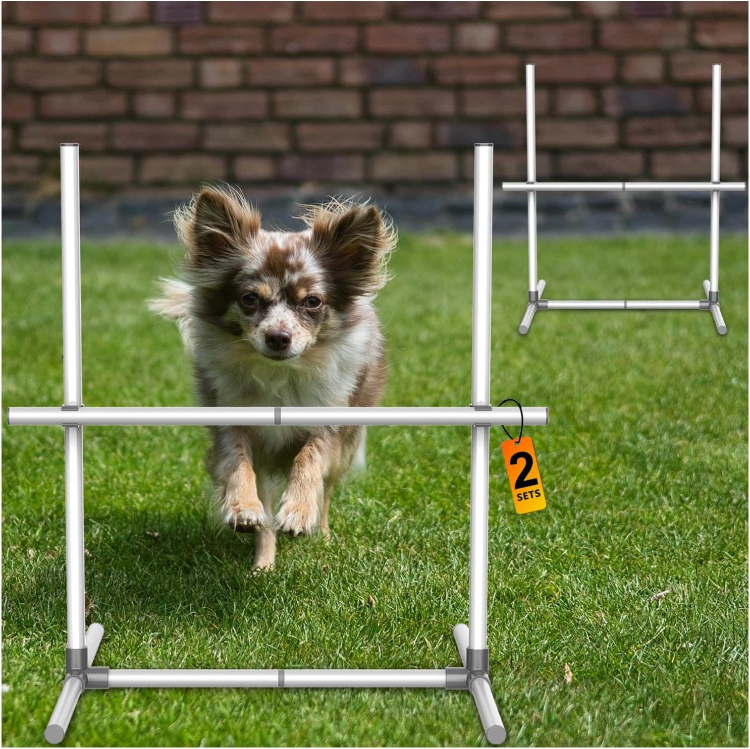 Amazon.com : mioule Dog Agility Course Backyard Set - Dog Agility ...