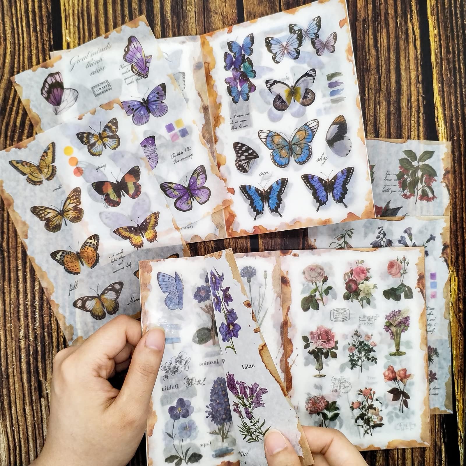 Amazon.com: 229PCS Decoration Stickers, Scrapbooks Nature Landscape ...