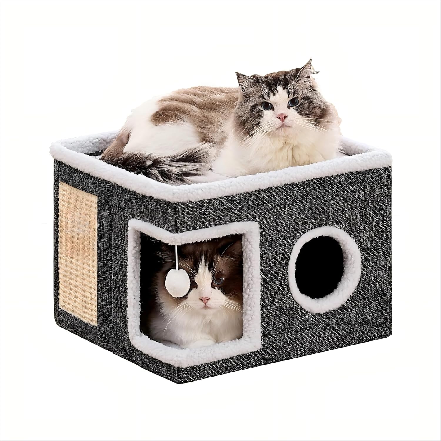 Amazon.com : Indoor Cat House Bed and Cave: Large Hideaway Box with ...