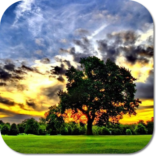 Nature Beauty HD Wallpapers - App on Amazon Appstore