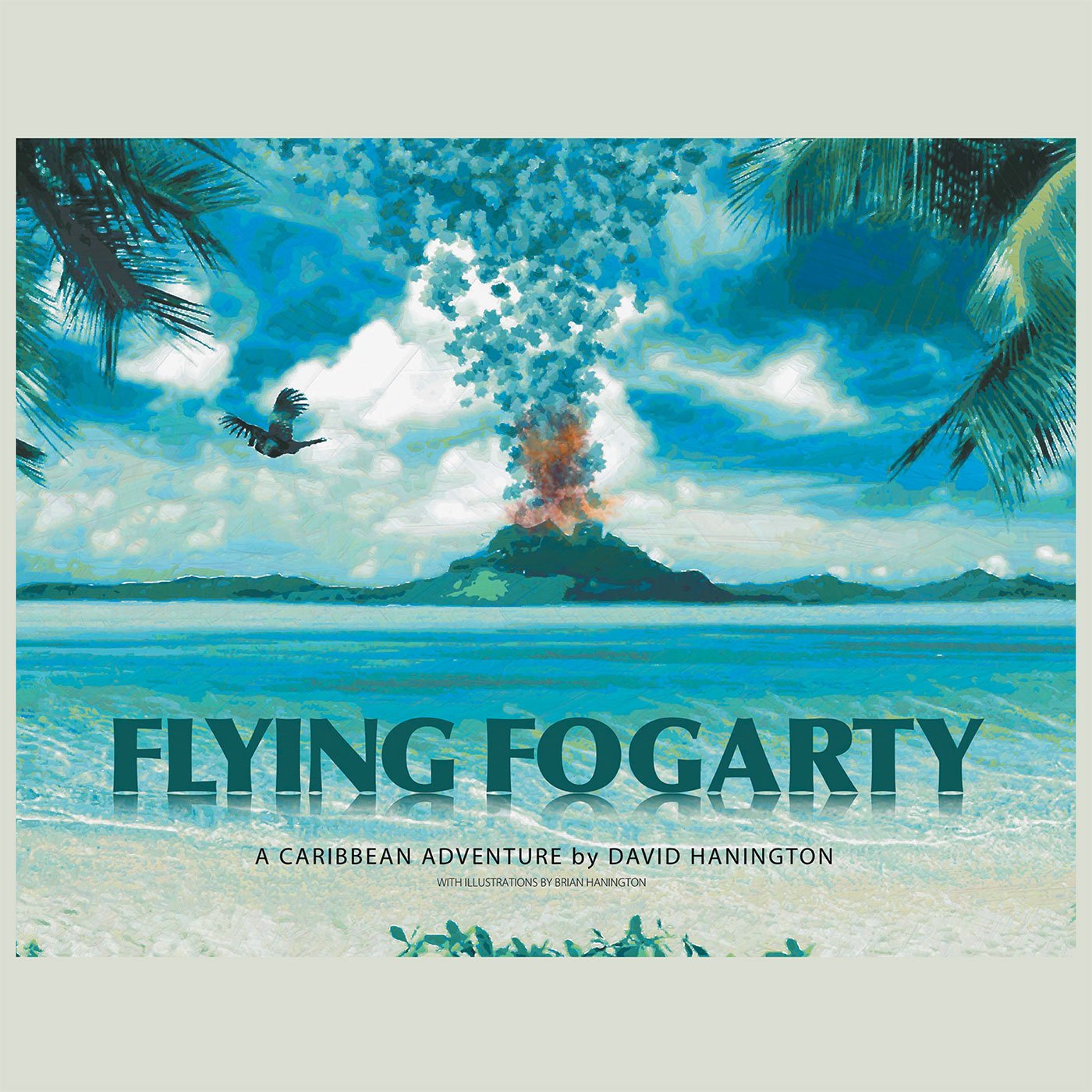 Amazon.com: Flying Fogarty: A Caribbean Adventure eBook : Hanington ...