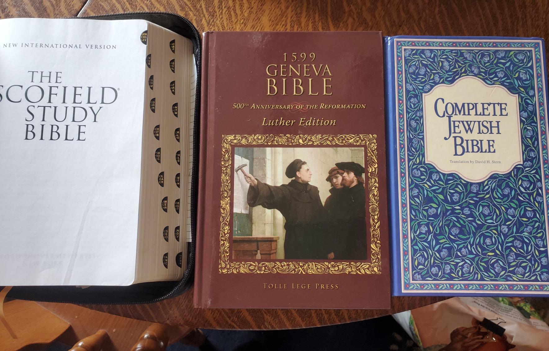 1599 Geneva Bible: Luther Edition: Peter A. Lillback: 9781938139352 ...