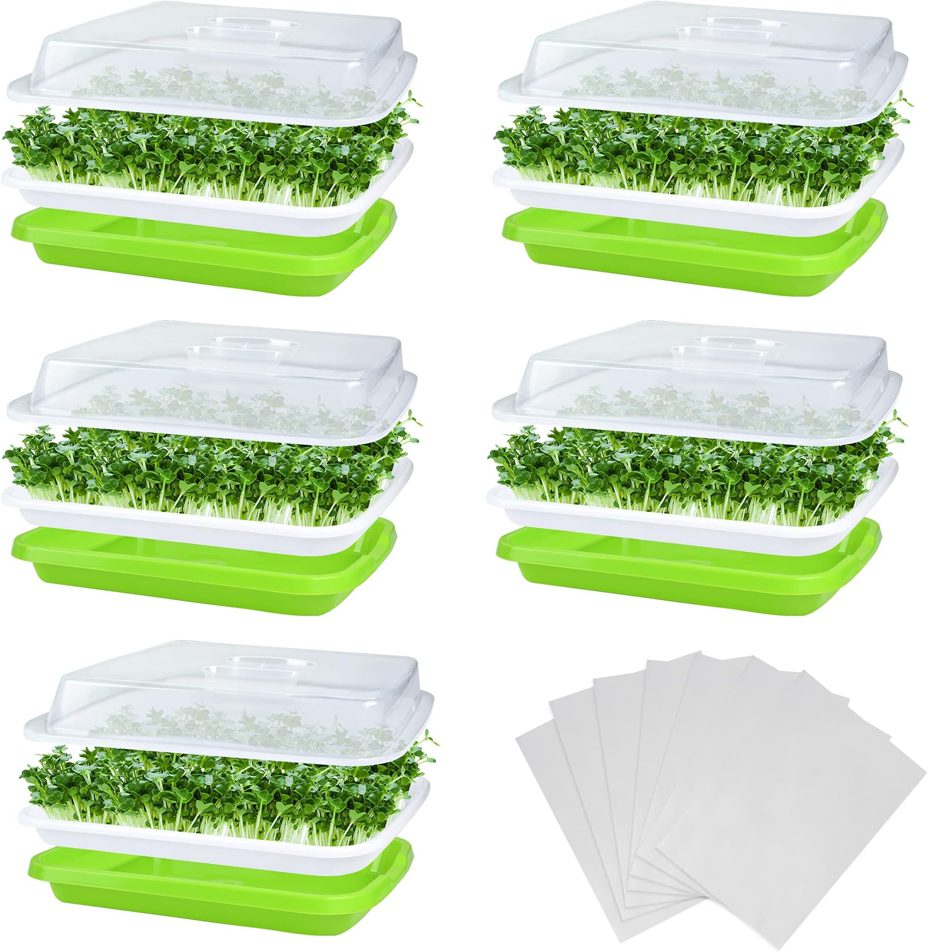 Amazon.com : Fairooth Seed Sprouting Tray Microgreens Growing Trays ...