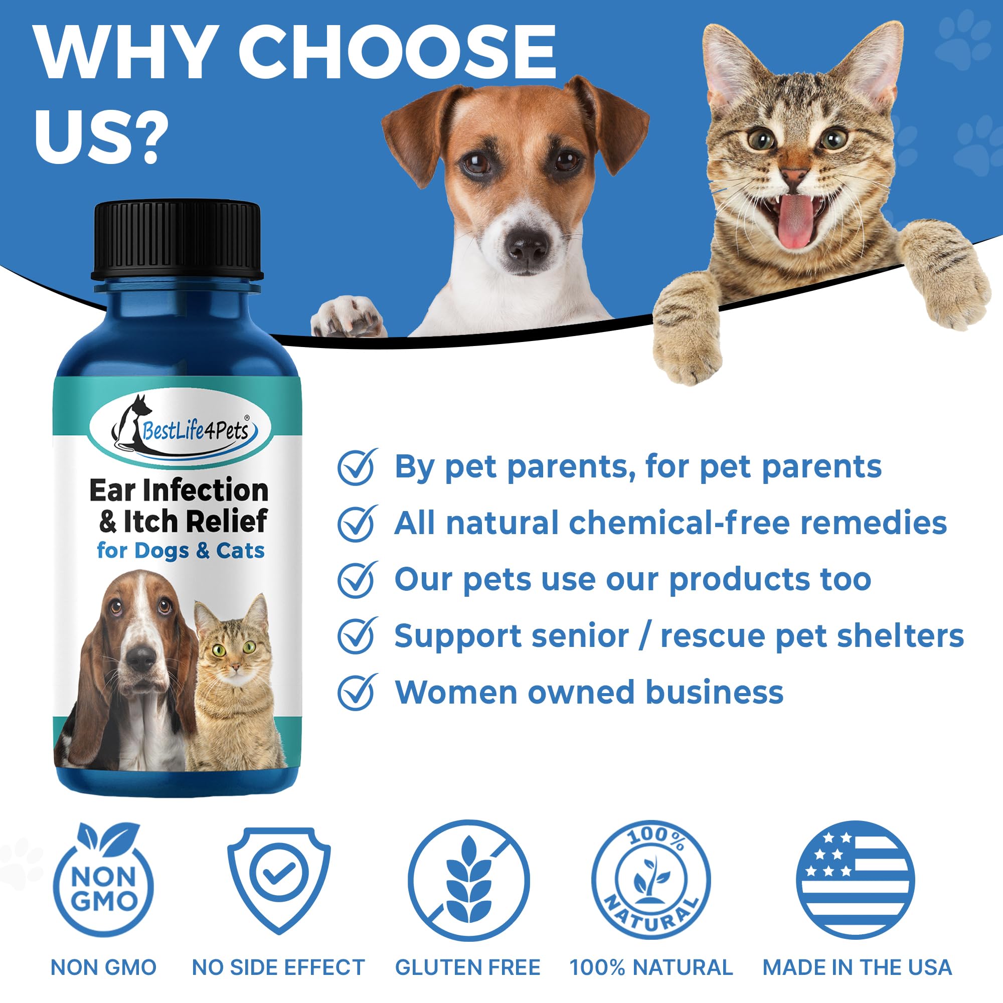 Ear Infection In Dogs Medicine