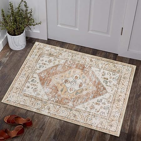 Amazon.com: Lahome Oriental Area Rug - 2x3 Entryway Rugs Indoor Printed ...