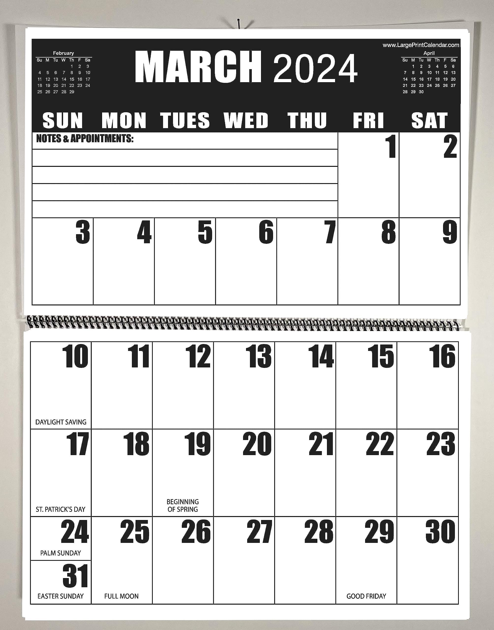 Amazon.com: 2024 CATtitude Cat Wall Calendar, 12-Inch x 9-Inch Size ...