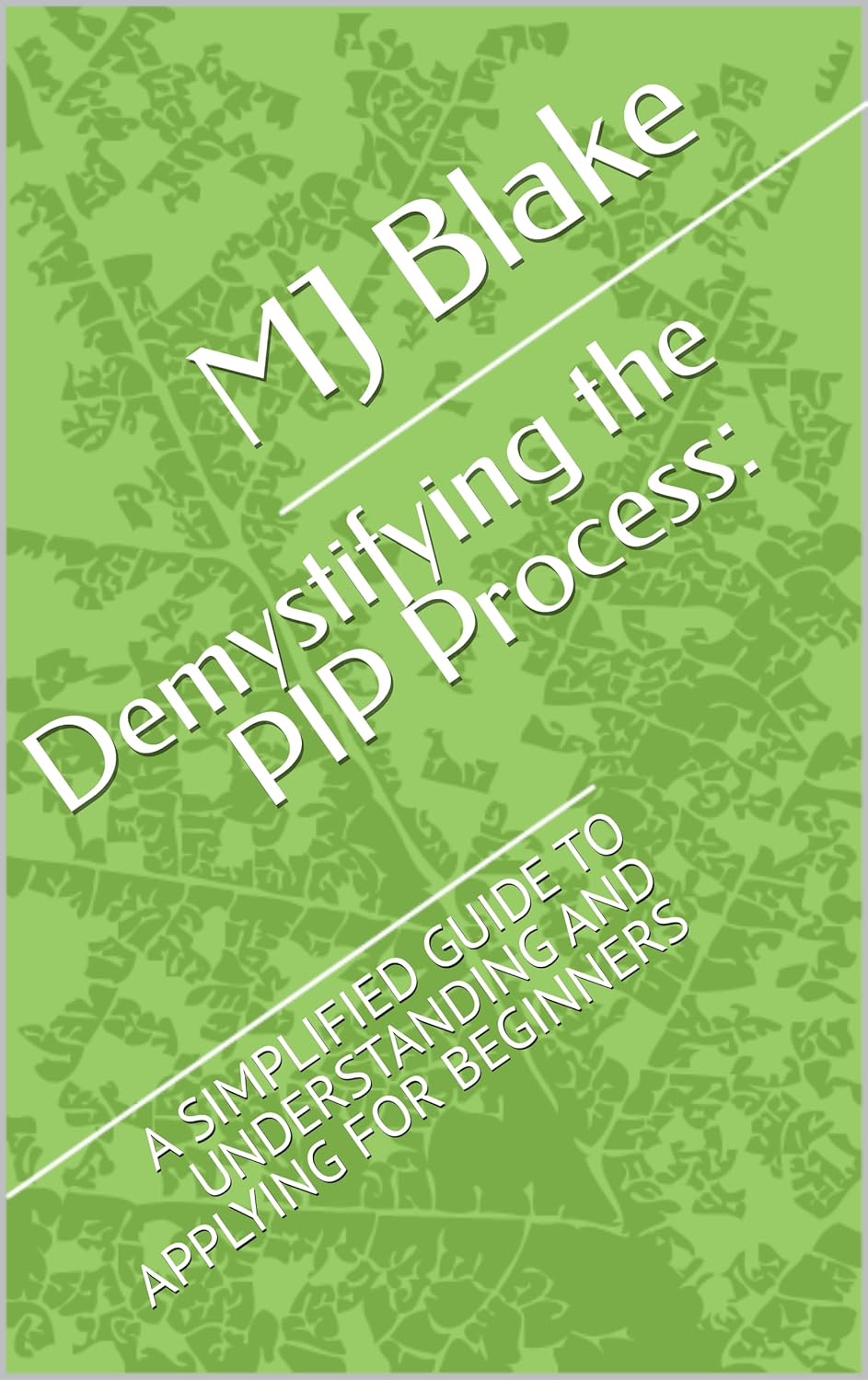 Demystifying the PIP Process: A Simplified Guide to Understanding and ...