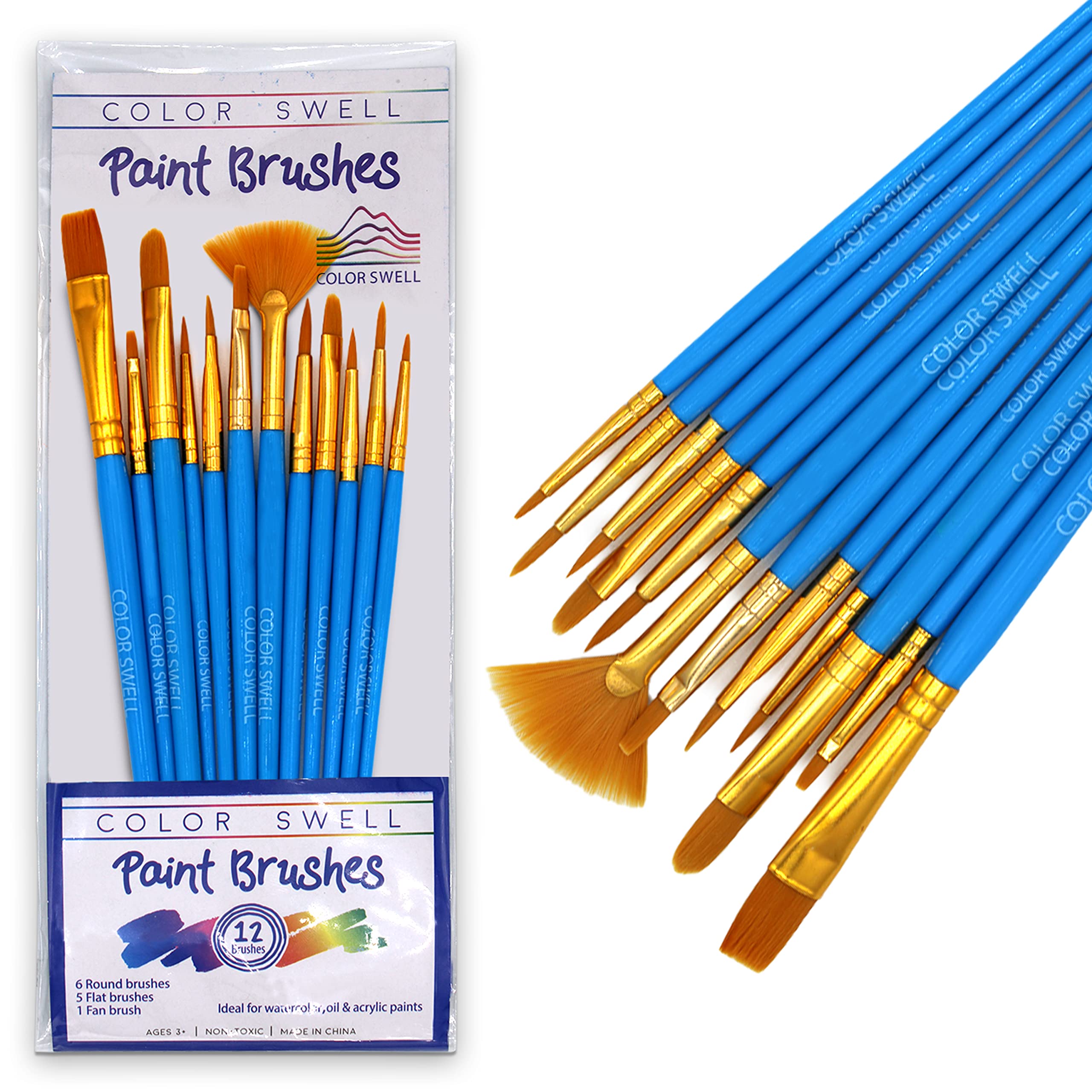 Amazon.com: Color Swell Bulk Paint Brushets - 36 Packs of 12 Paint ...
