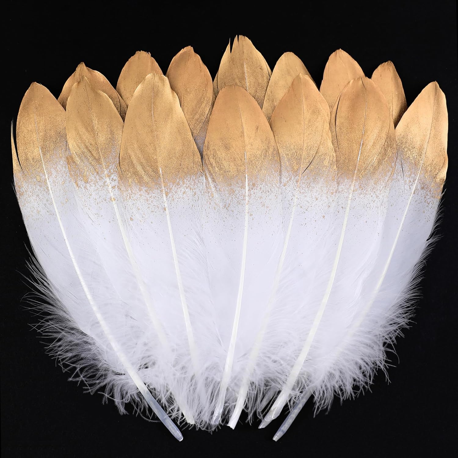 Amazon.com: Larryhot Dipped Gold & White Goose Feathers for Crafts - 6 ...
