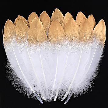 Amazon.com: Larryhot Dipped Gold & White Goose Feathers for Crafts - 6 ...