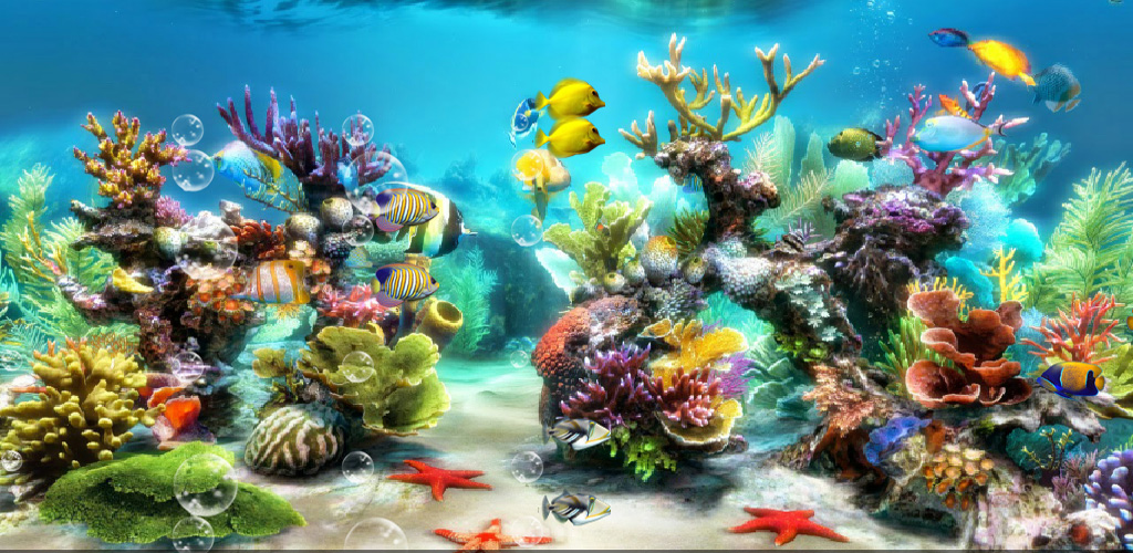 Animated Wallpaper Coral
