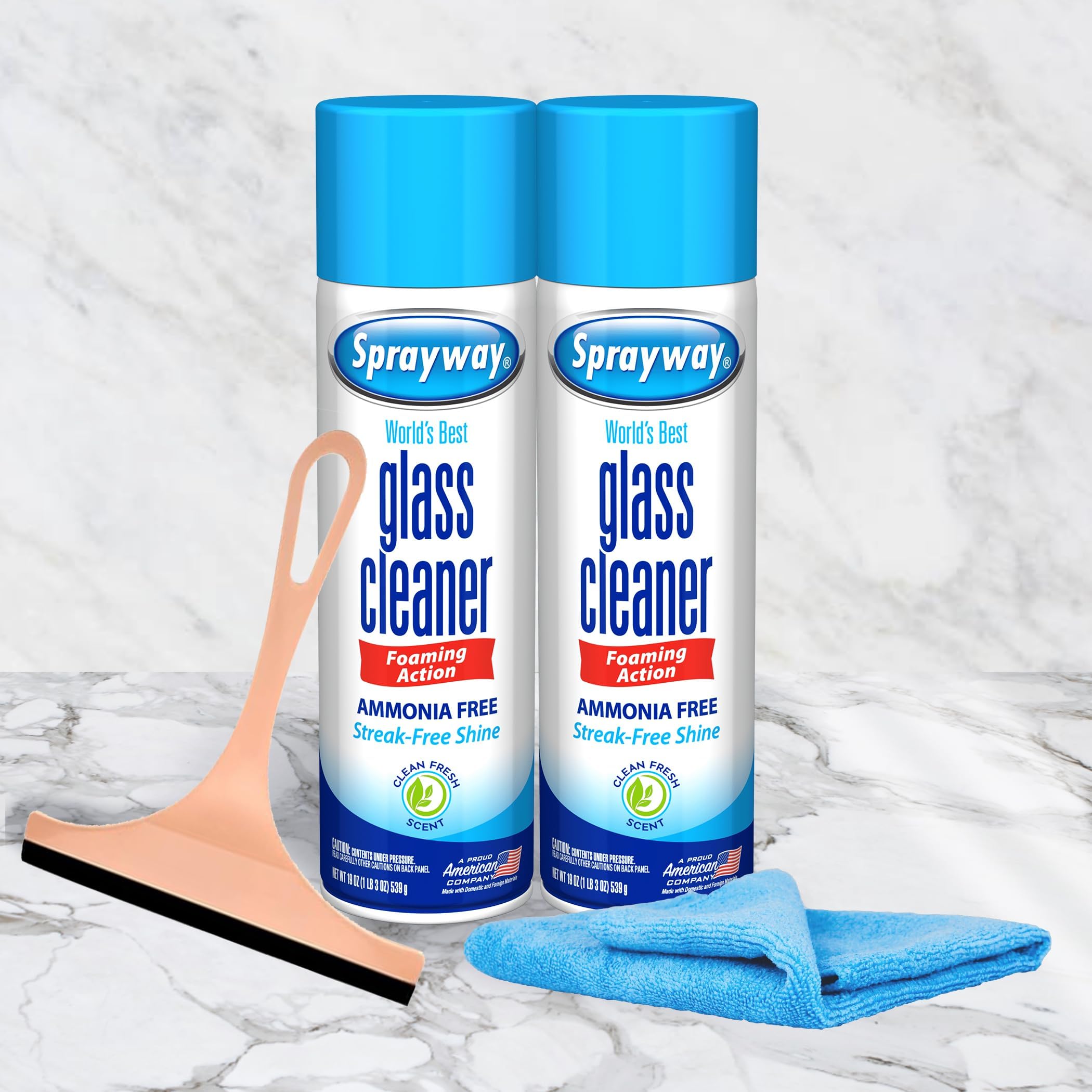 Amazon.com: Foaming Professional Glass Cleaner - 19oz. Can - CASE OF 12 ...
