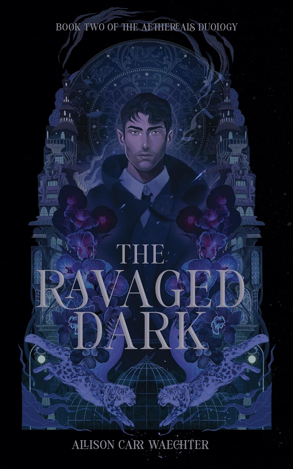 Amazon.com: The Ravaged Dark (The Aethereals Duology Book 2) eBook : Carr Waechter, Allison: Books