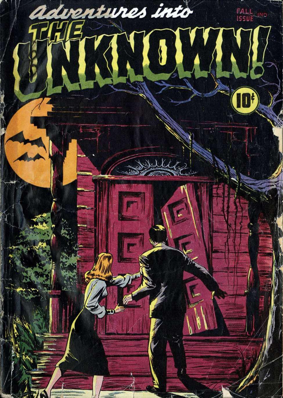 Amazon.com: Adventures into the Unknown - Issues #1 & #2 (Golden Age ...