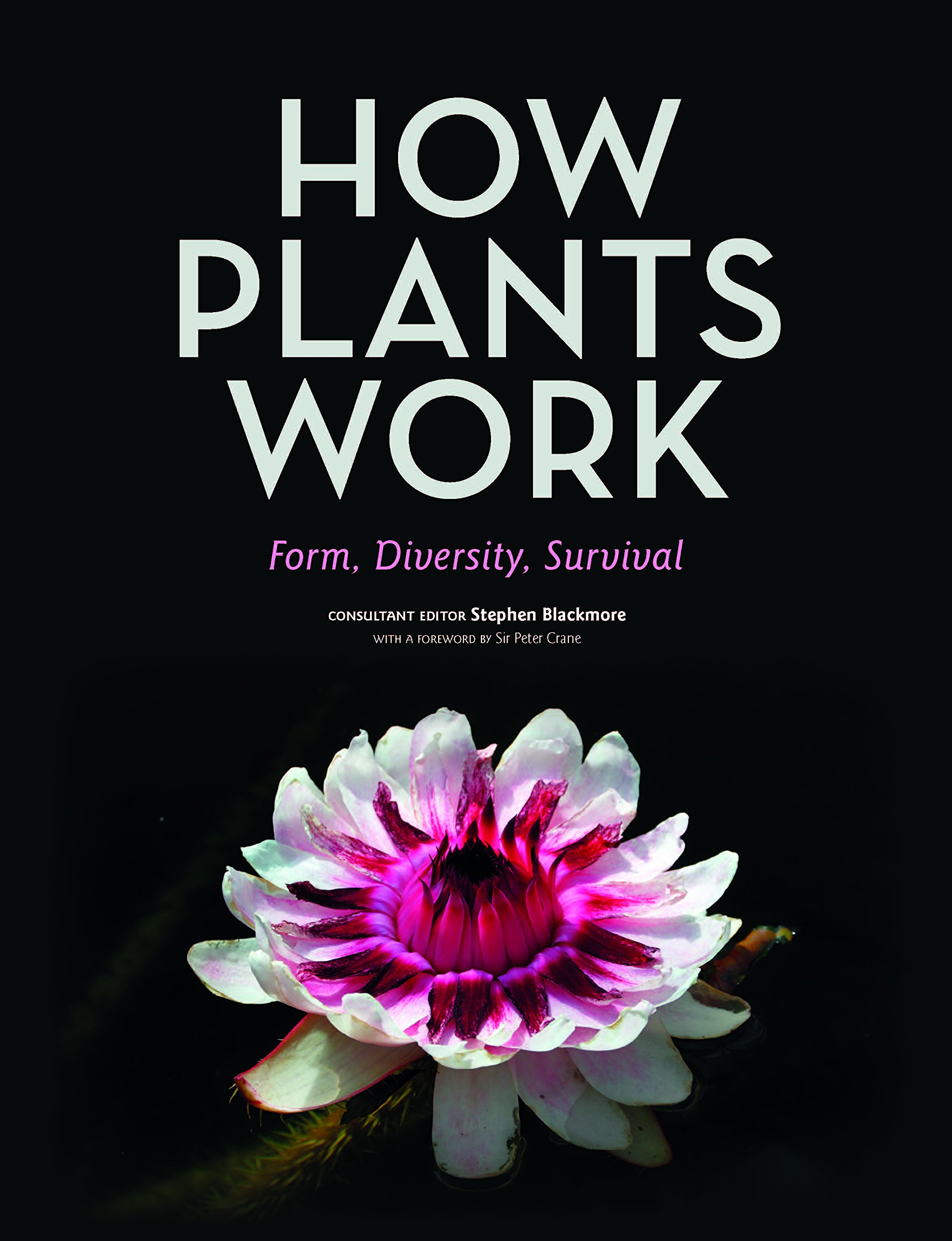 How Plants Work: Stephen Blackmore: 9781782406976: Amazon.com: Books