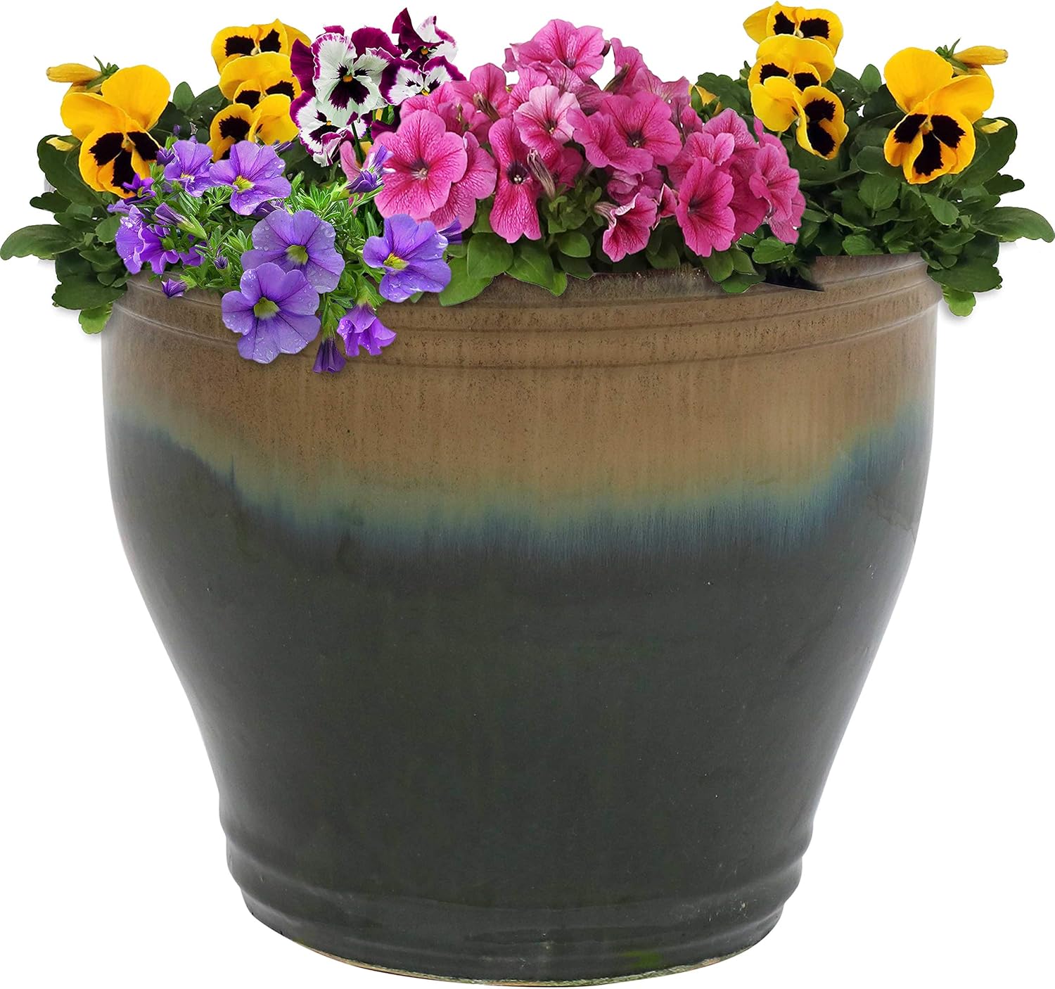 Amazon.com : Sunnydaze 15" Large Ceramic Plant Pot - Round Outdoor ...