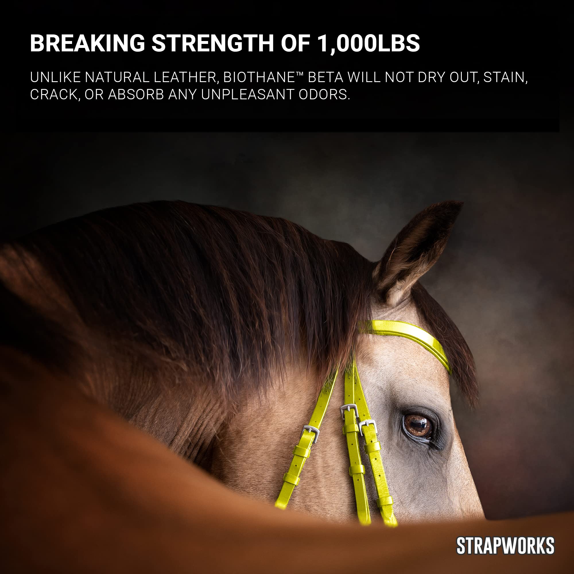 Snapklik.com : Strapworks BioThane 1 Inch Heavy Duty Polyester Webbing ...