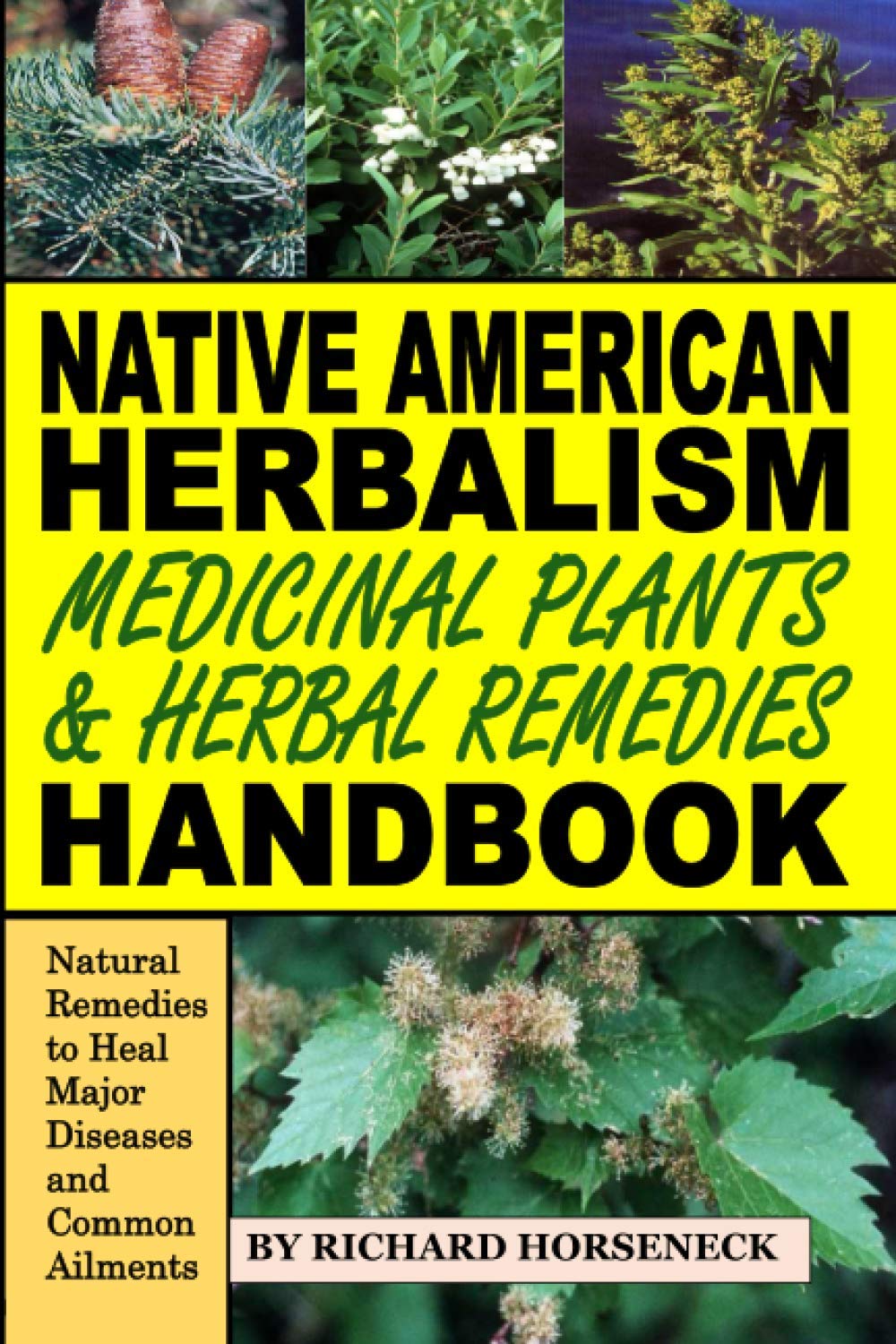 Native American Herbalism, Medicinal Plants and Herbal Remedies ...