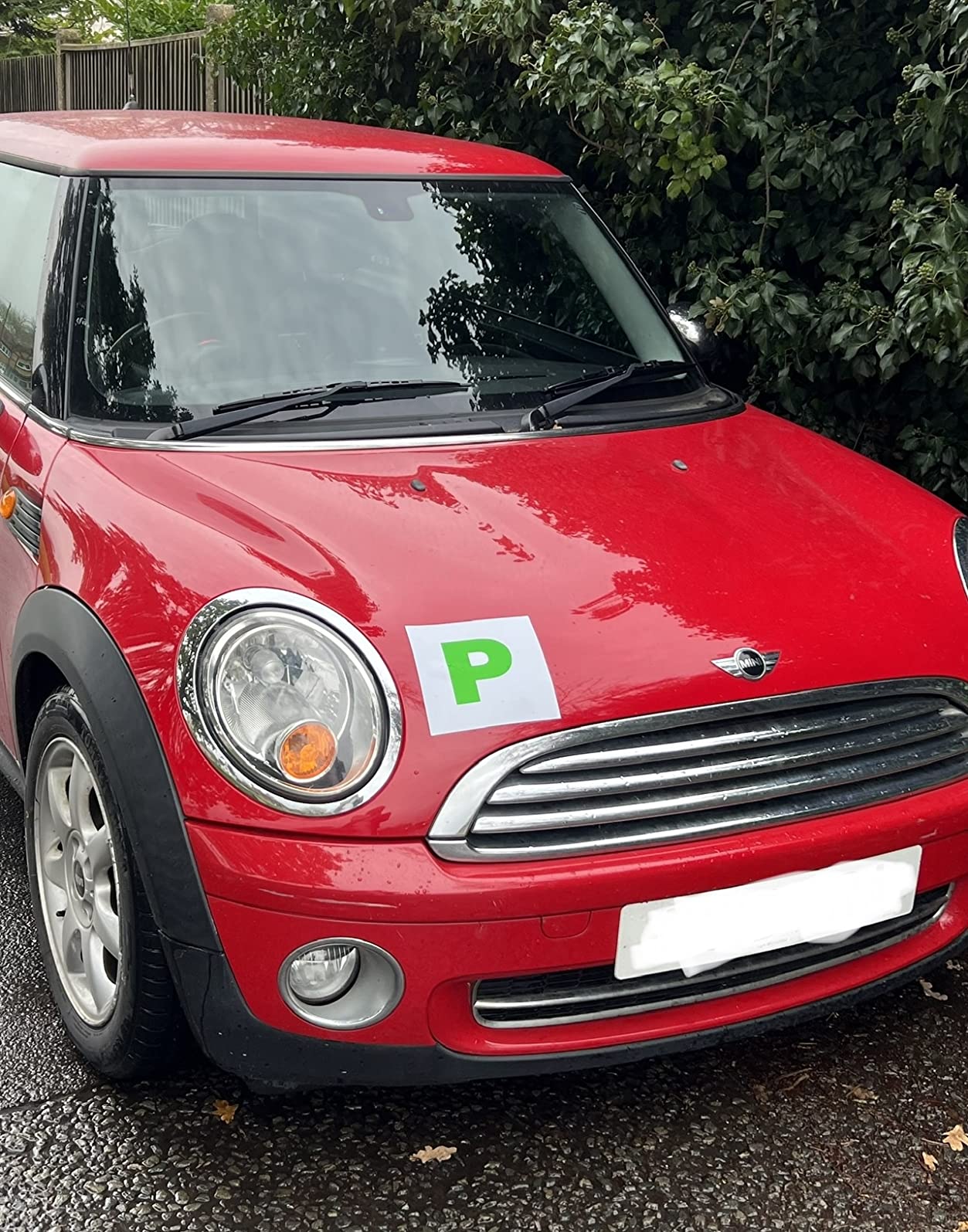 AUERVO Fully Magnetic Red L Plates 2 Pack and Green P Plates 2 Pack ...