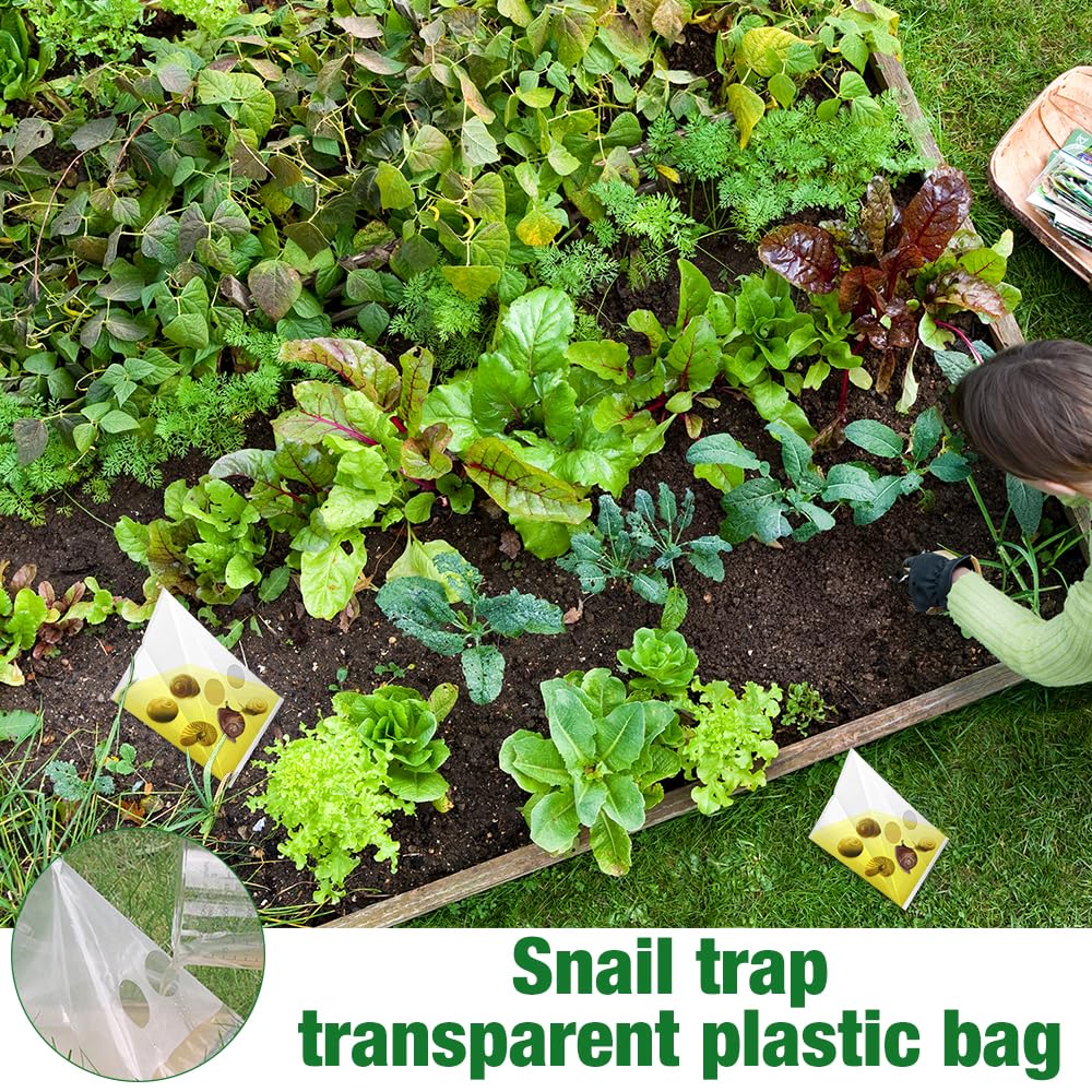 20 PCS Slug Traps for Indoor and Outdoor, Garden Snail and Slug Beer ...