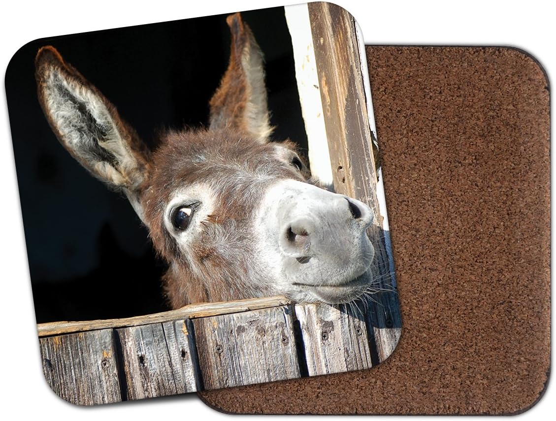 1 x Cheeky Donkey Cork Backed Drinks Coaster - Horse Kids Cute Animal ...