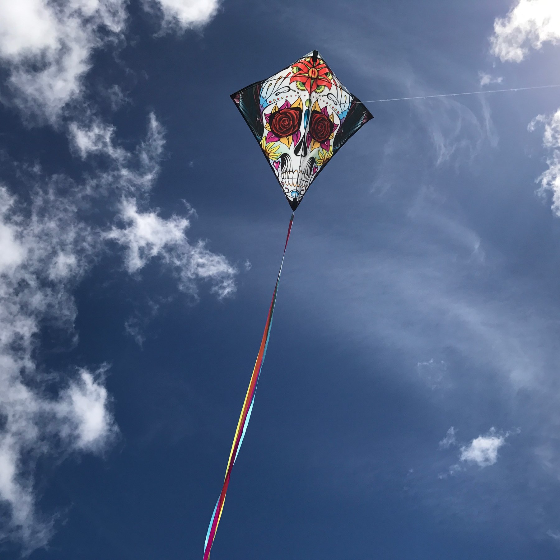 Diamond Kite Designs 40" Turtle Diamond Kite – Kitty Hawk Kites