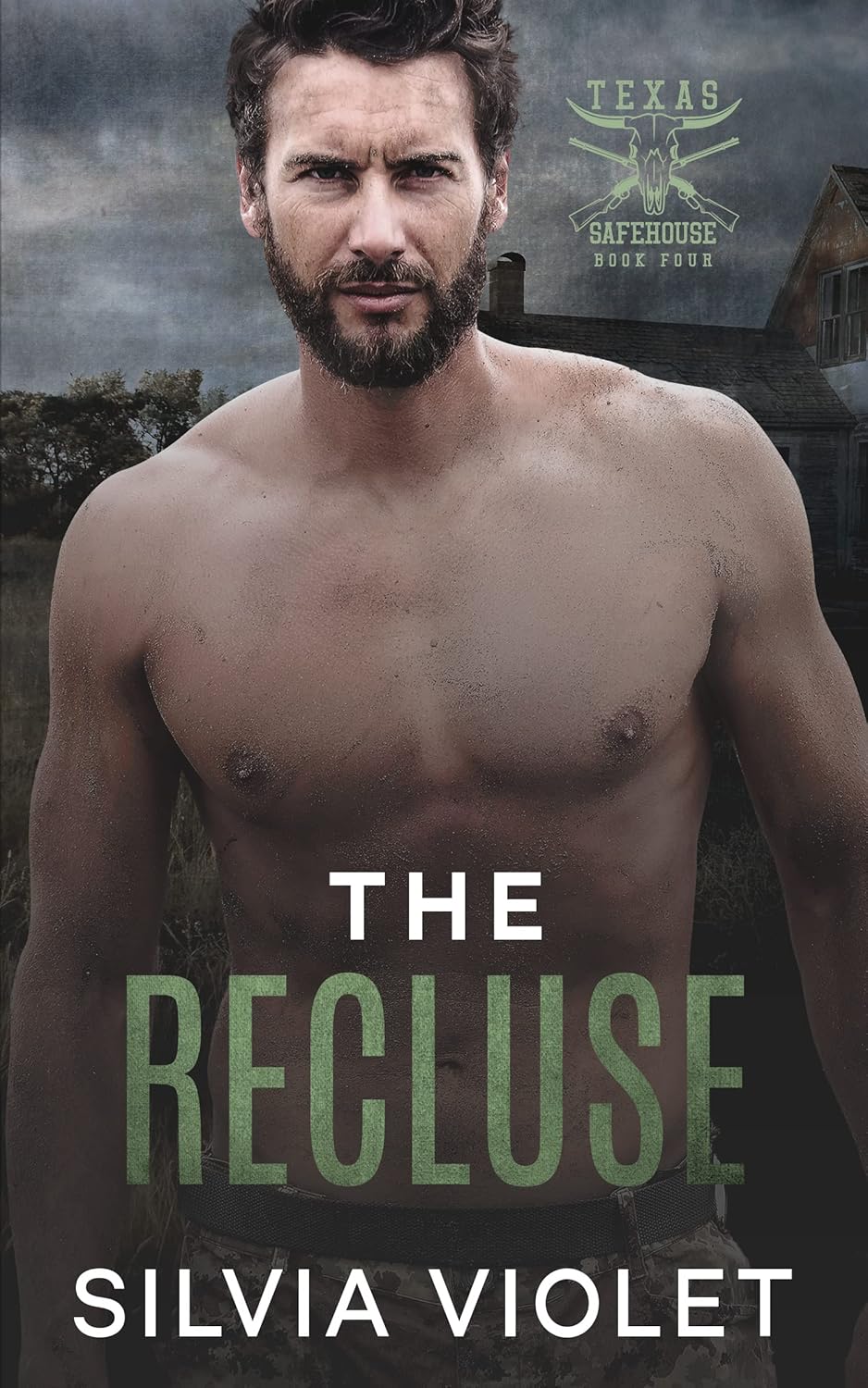 The Recluse (Texas Safehouse Book 4) eBook : Violet, Silvia: Amazon.ca: Kindle Store