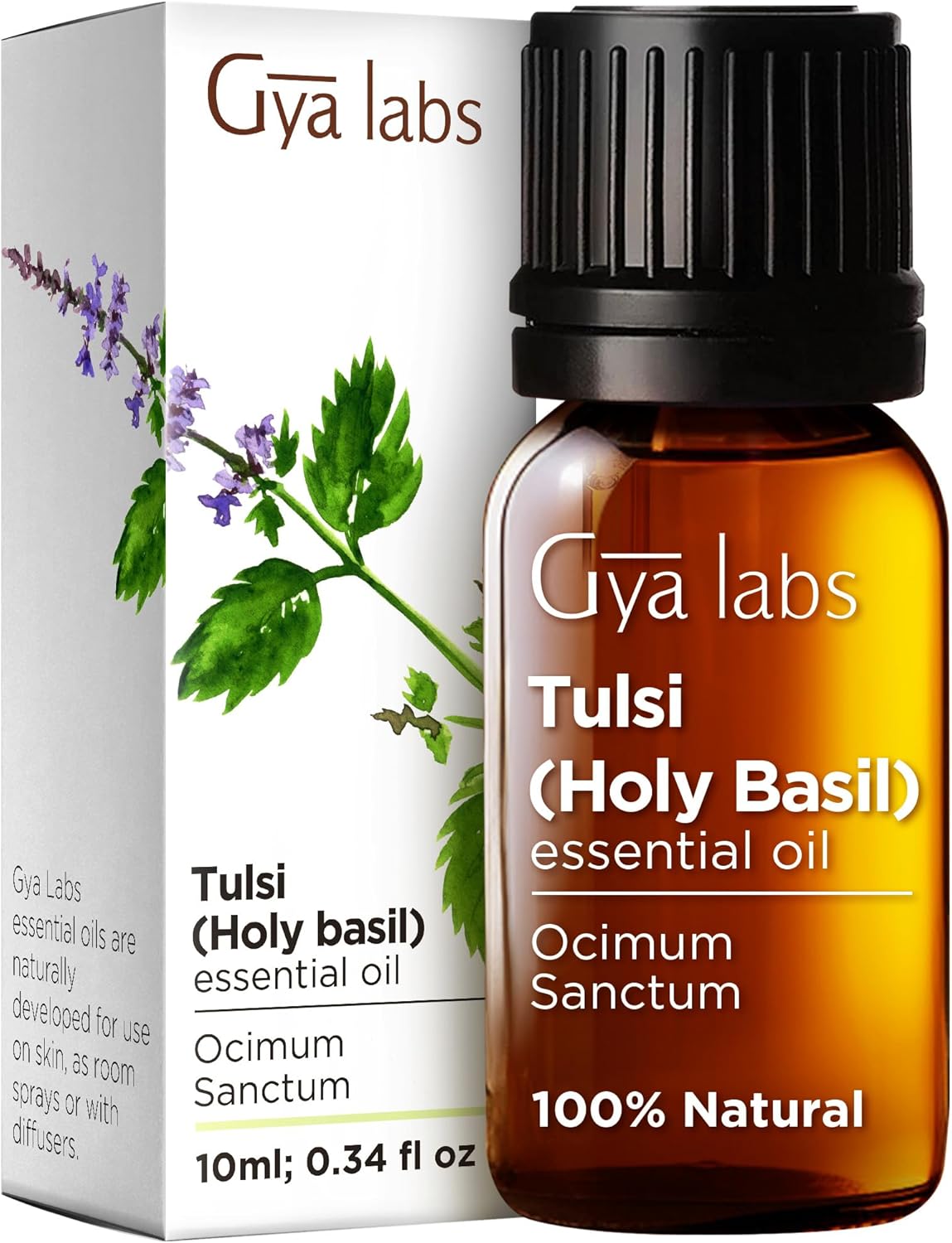 Amazon.com: Gya Labs Holy Basil (Tulsi) Essential Oil for Aromatherapy ...