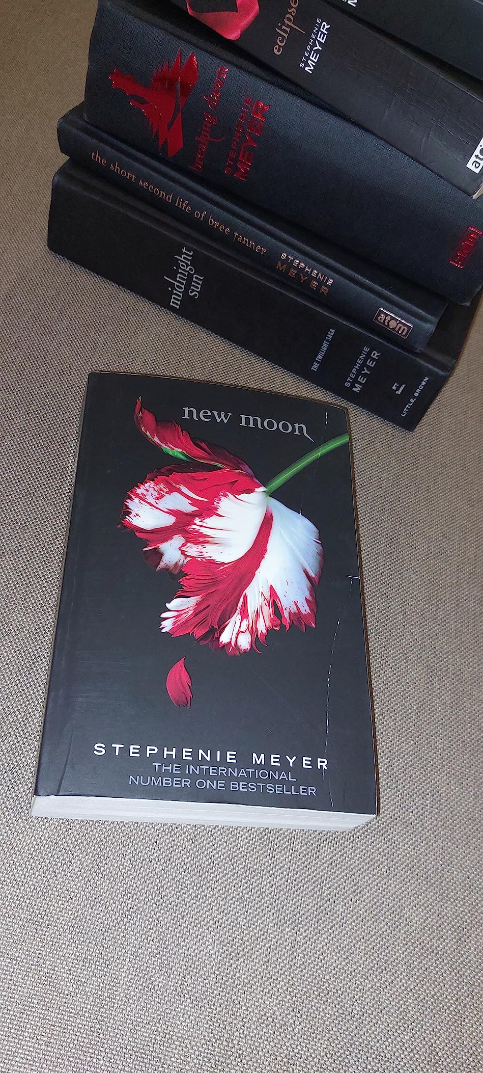 New Moon (Twilight Saga Book 2) eBook : Meyer, Stephenie: Amazon.in ...