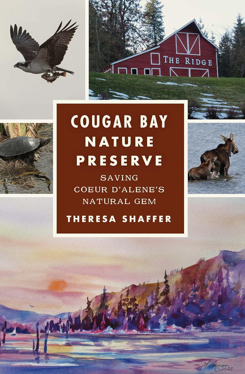 Cougar Bay Nature Preserve: Saving Coeur d'Alene's Natural Gem (The ...