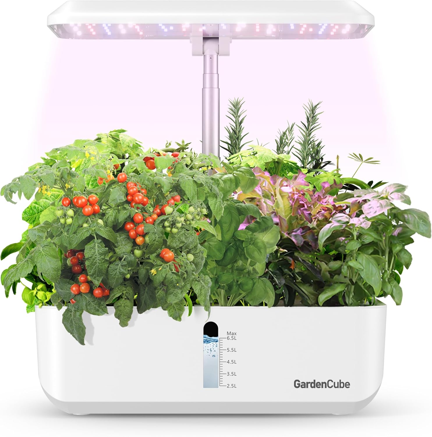 Amazon.com: GARDENCUBE Hydroponics Growing System Garden: 12 Pods ...