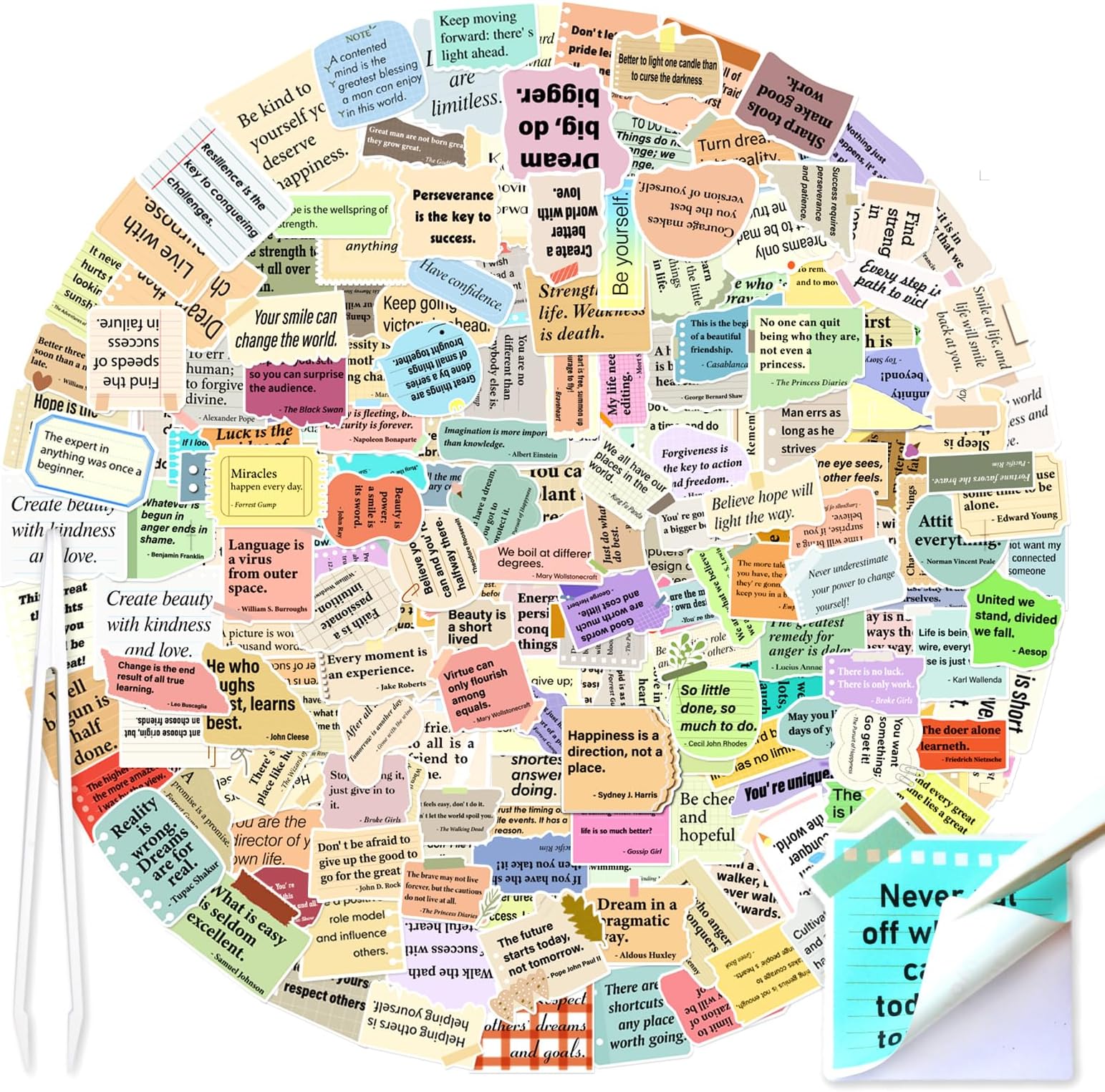 Amazon.com: Navy Peony Soul Sister Vision Board Stickers (30pcs ...