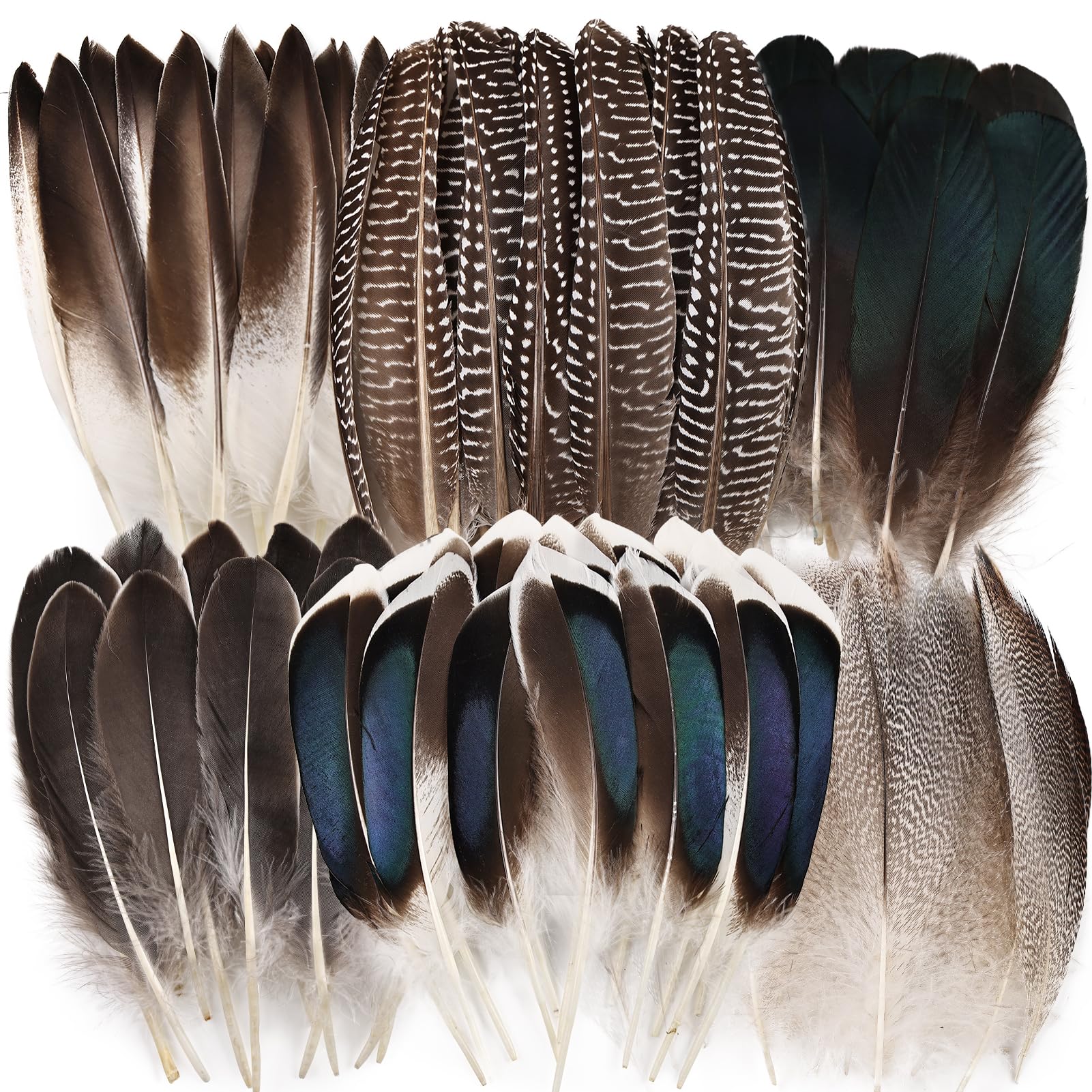 Amazon.com: iHUFeather 60pcs Natural Pheasant Feathers Bulk Spotted ...
