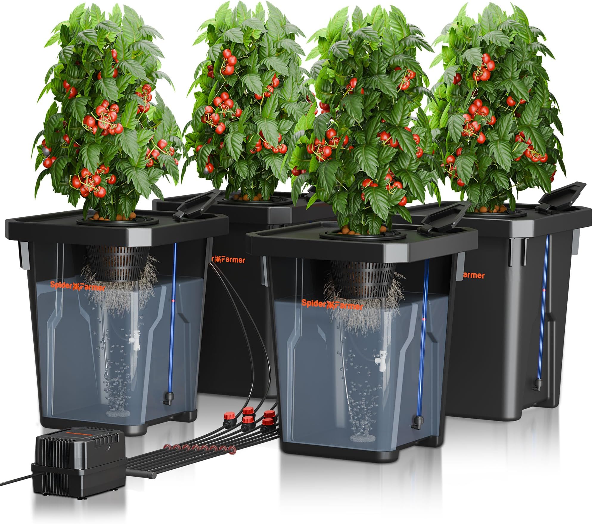 Amazon.com : Hydroponics Growing System, 5 Gallon Hydroponic Bucket Kit ...