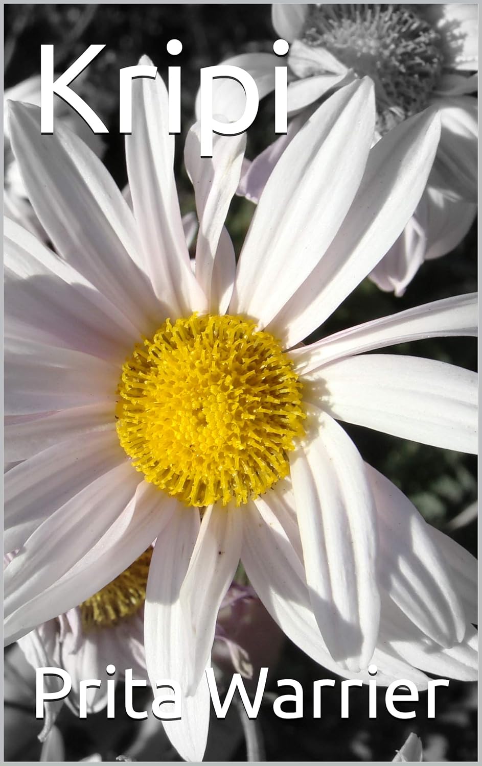 Kripi eBook : Warrier, Prita: Amazon.in: Kindle Store