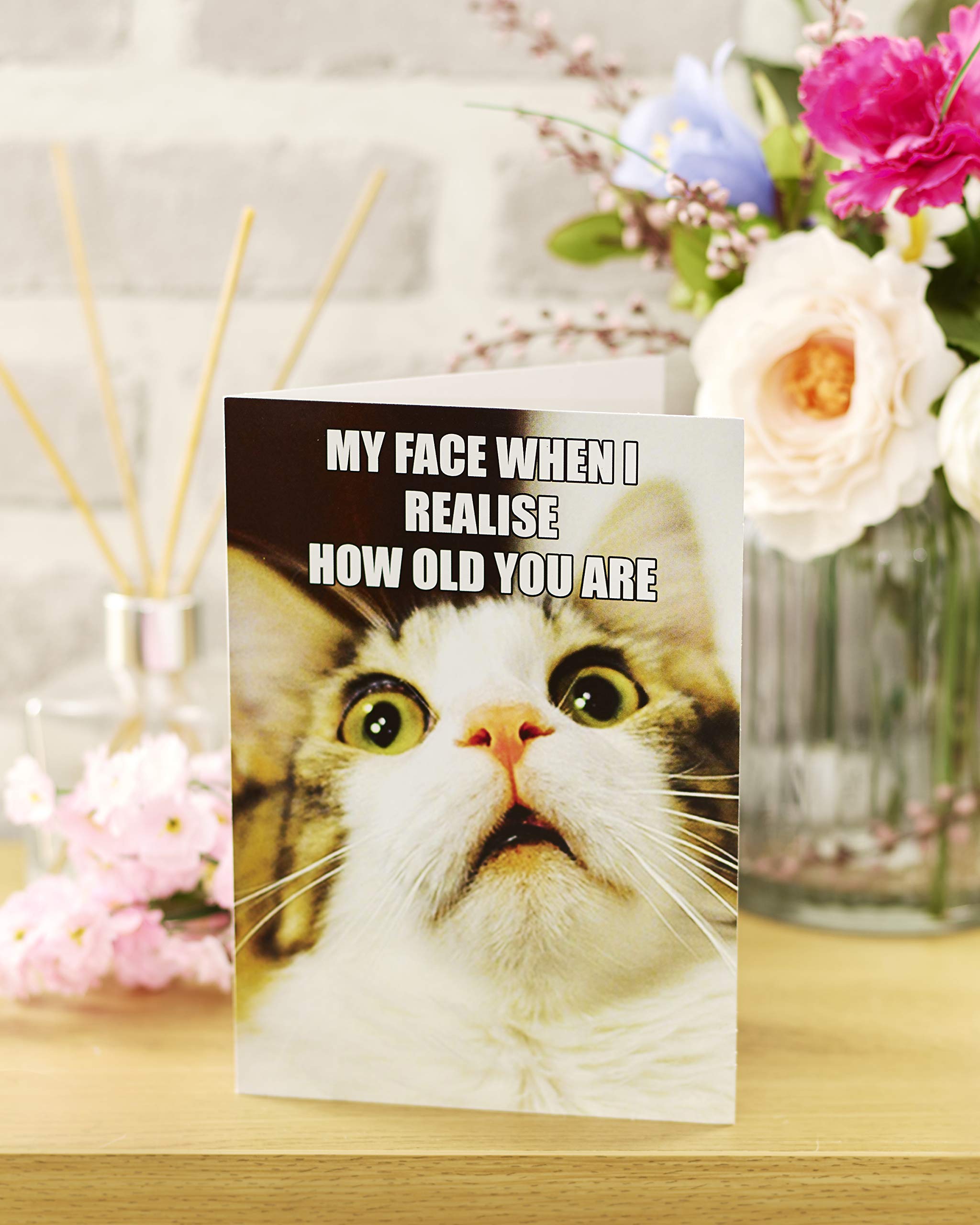 Meme Del Gatto Di Compleanno