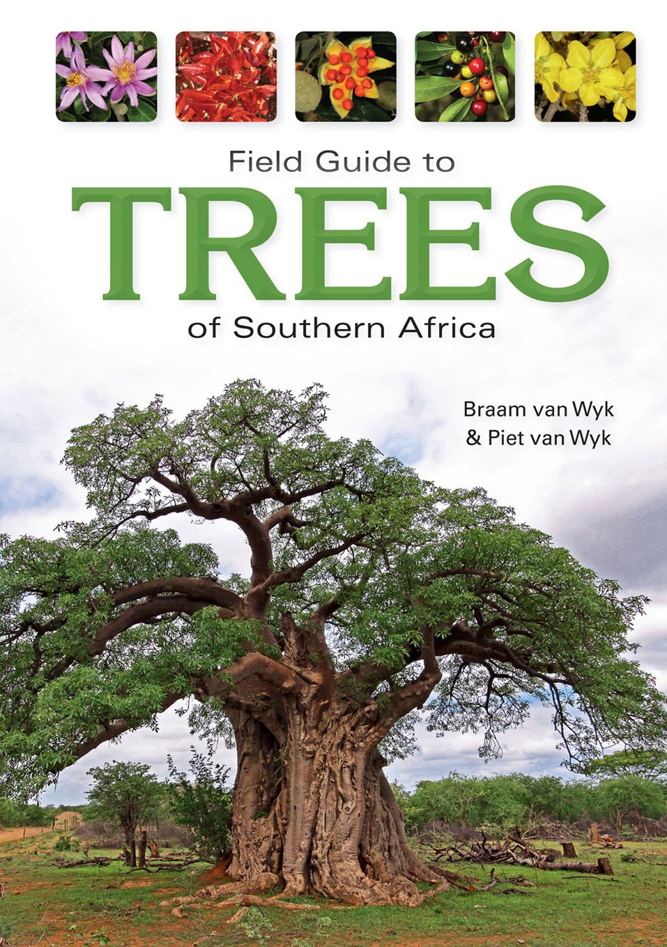 Amazon | Field Guide to Trees of Southern Africa (Field Guide To ...