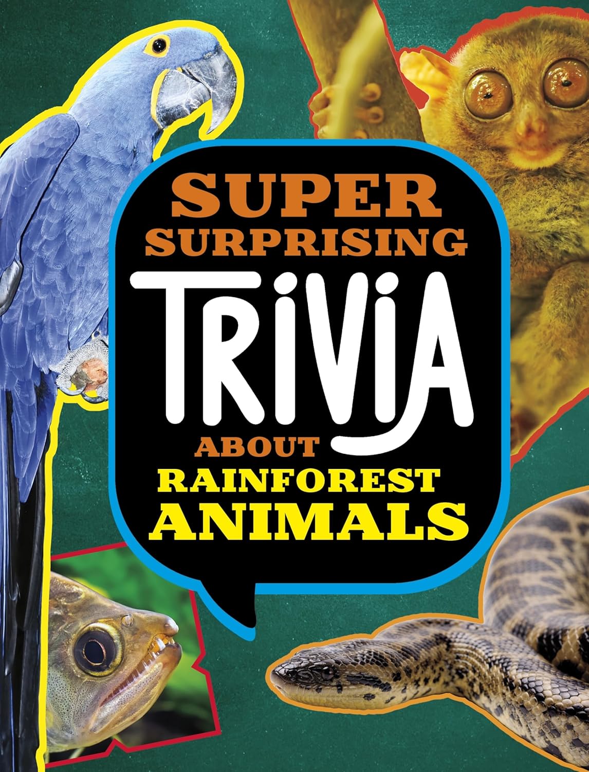 Super Surprising Trivia About Rainforest Animals : Buy Online at Best ...