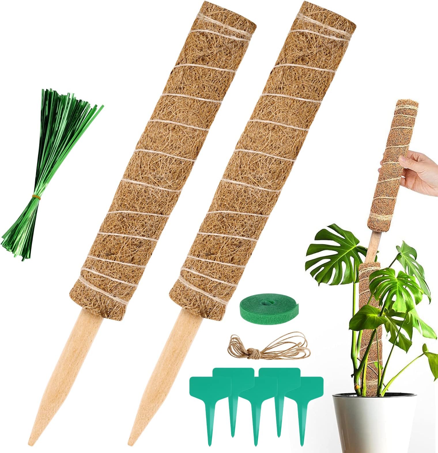 Cieex Monstera Rankhilfe, 6 Stück 30 cm Pflanzstäbe Kokos Moosstab ...