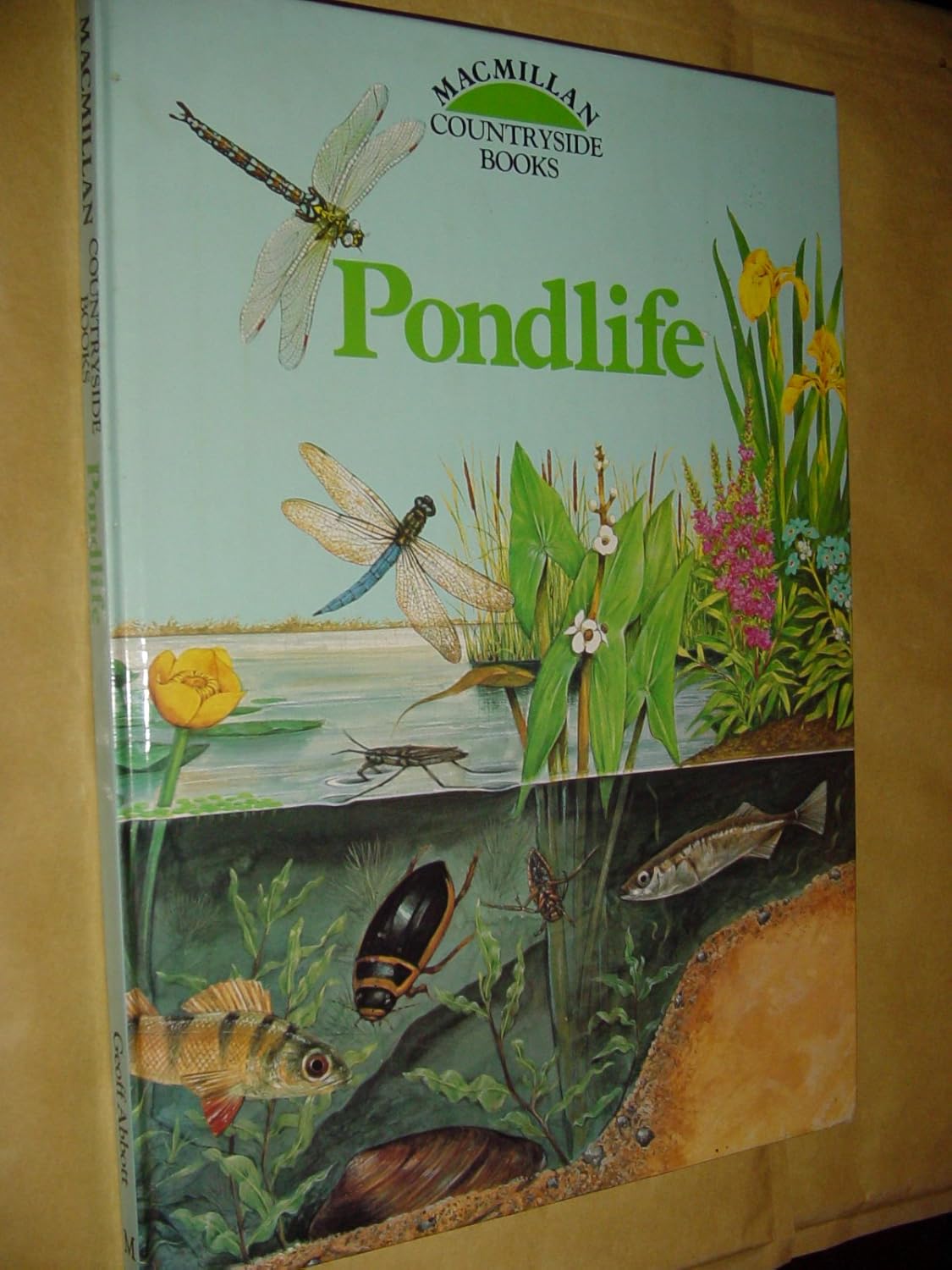Pondlife (Macmillan Countryside Books): Abbott, Geoff: 9780333334669 ...