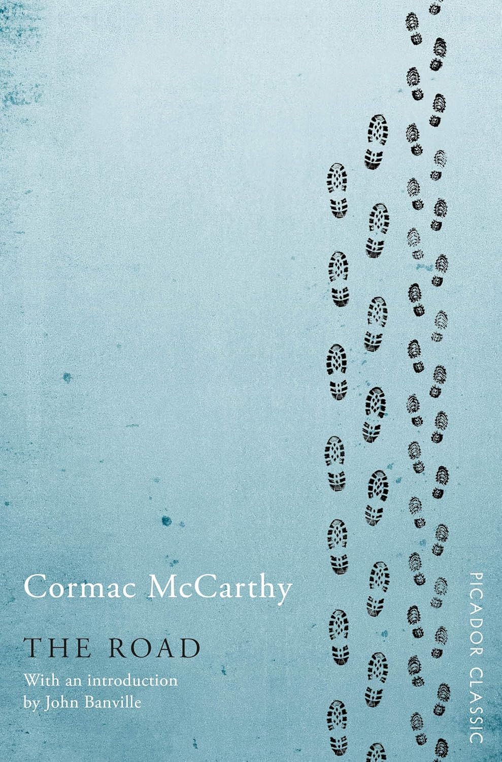 The Road (Picador Classic): McCarthy Cormac: 9781509870639: Amazon.com ...
